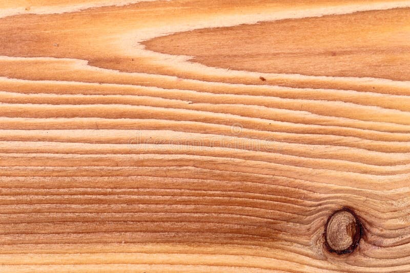 Corrugated Wood Texture Macro View Stock Photo - Image of hardwood ...