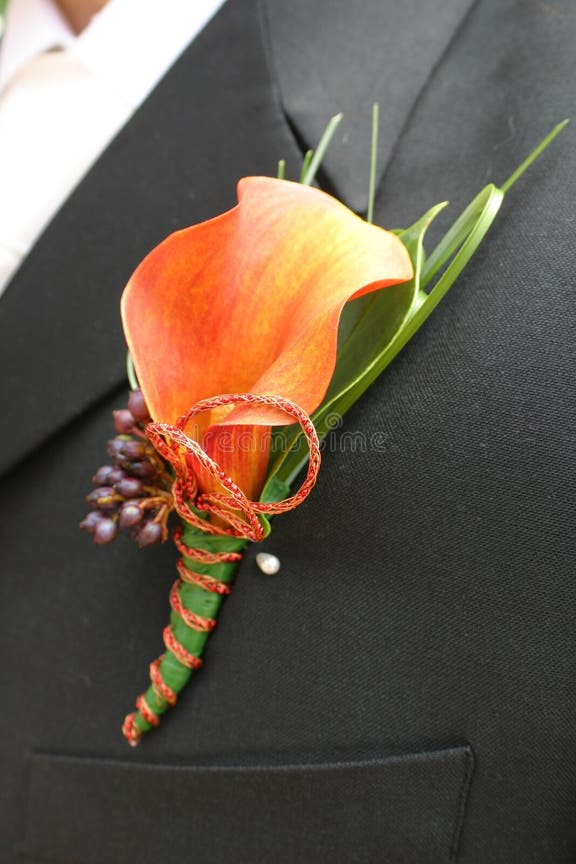 Corsage stock image. Image of rose, suit, concept, corsage - 722303