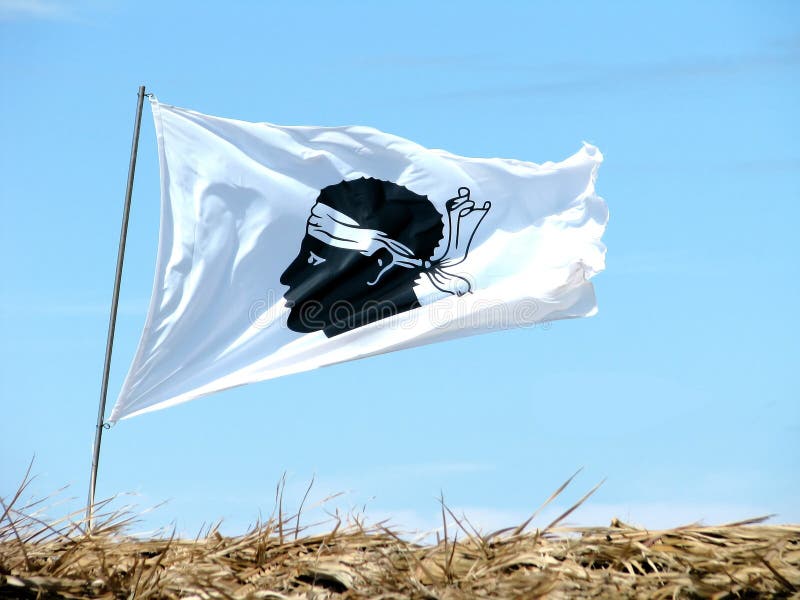 Corsica flag stock image. Image of corsica, france, waving - 22177607