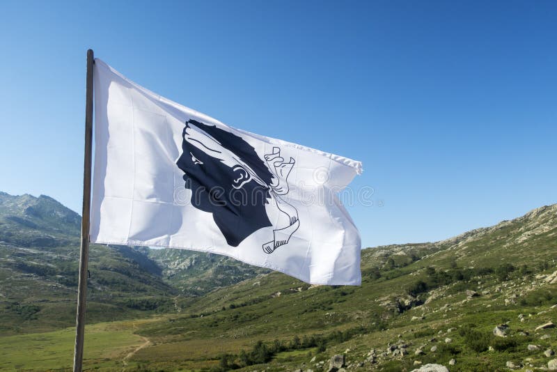 Corsican flag stock image. Image of shape, gr20, emblem - 227340233