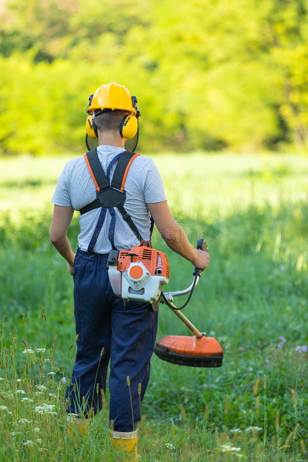 Cortando pasto imagen de archivo. Imagen de recorte - 157632475