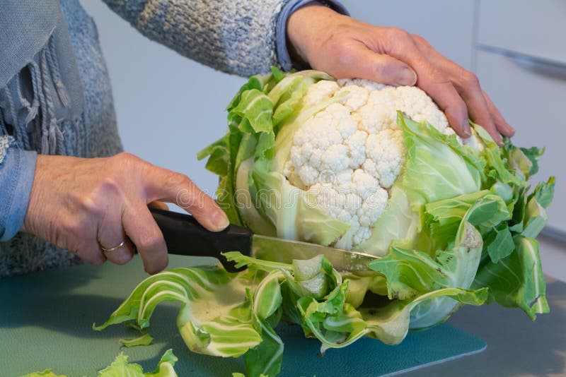 Cortar Las Hojas De Una Coliflor Foto de archivo - Imagen de mano ...