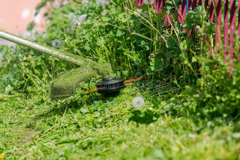 Cortar Pasto Con Herramienta Foto de archivo - Imagen de césped ...