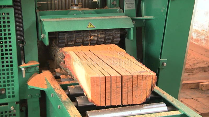 Cortar Un Tronco De árbol Cortado En Tablas Metrajes - Vídeo de ...