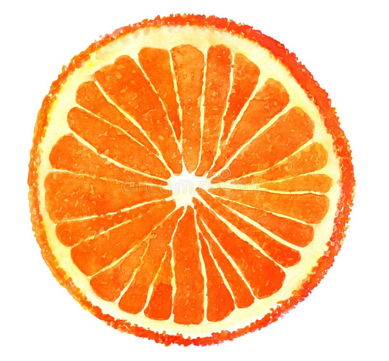 Corte Da Laranja Da Aquarela Imagem de Stock - Imagem de fresco ...
