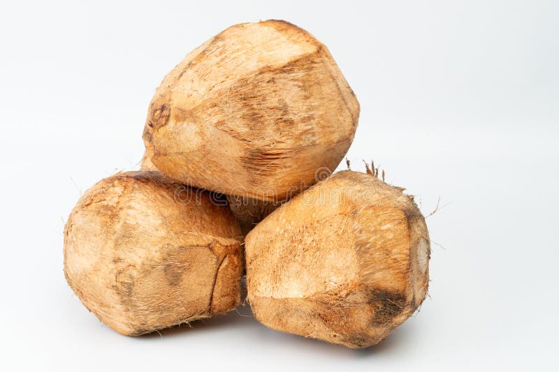 Corte de coco limpio imagen de archivo. Imagen de tuerca - 321275615