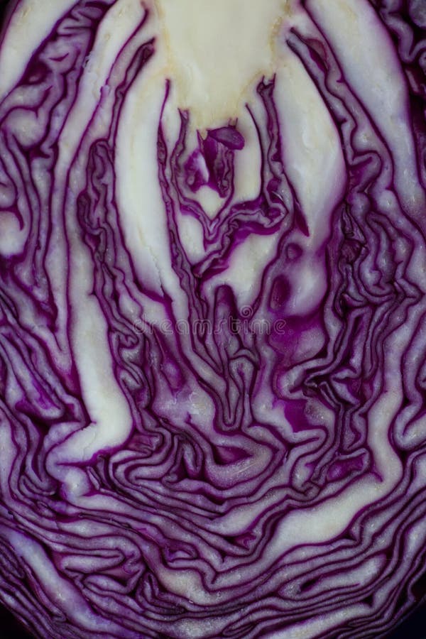 Corte de la col del color foto de archivo. Imagen de colorido - 118716862