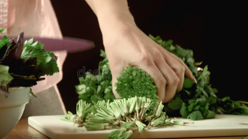 Corte del cilantro metrajes. Vídeo de cosechado, culinario - 60874942