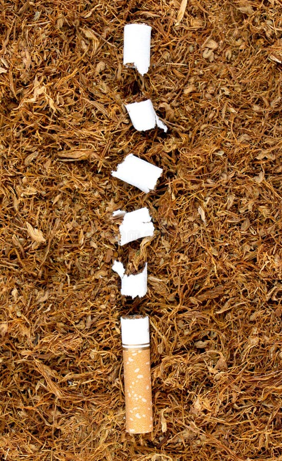 Corte El Cigarrillo En Fondo Del Tabaco Imagen de archivo - Imagen de ...