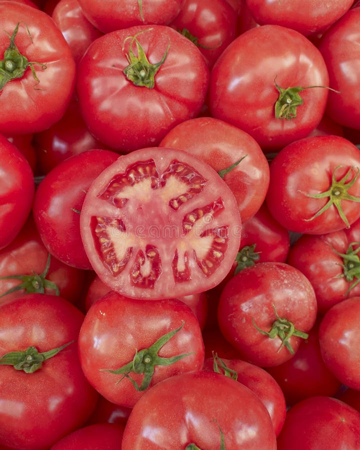 Corte Vermelho Suculento Do Tomate Imagem de Stock - Imagem de ... Corte Vermelho Suculento Do Tomate Imagem de Stock - Imagem de ...