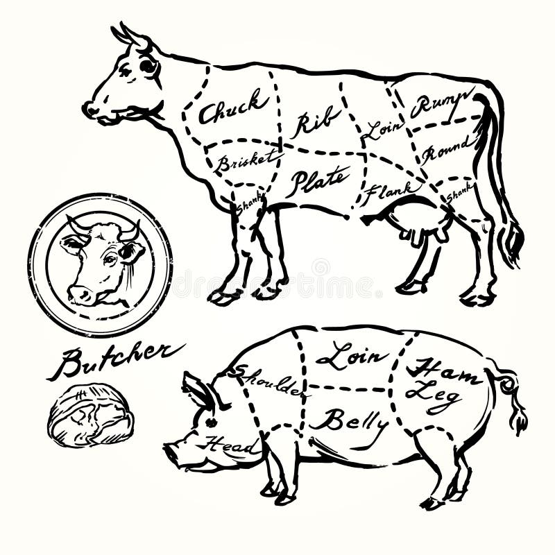 Cortes Del Cerdo Y De La Carne De Vaca Ilustración del Vector ...