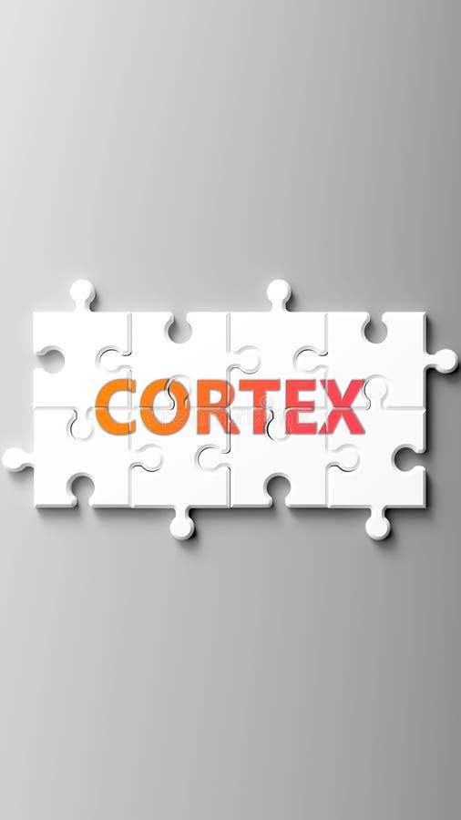Cortex Complex Like a Puzzle - Pictured As Word Cortex on a Puzzle ...