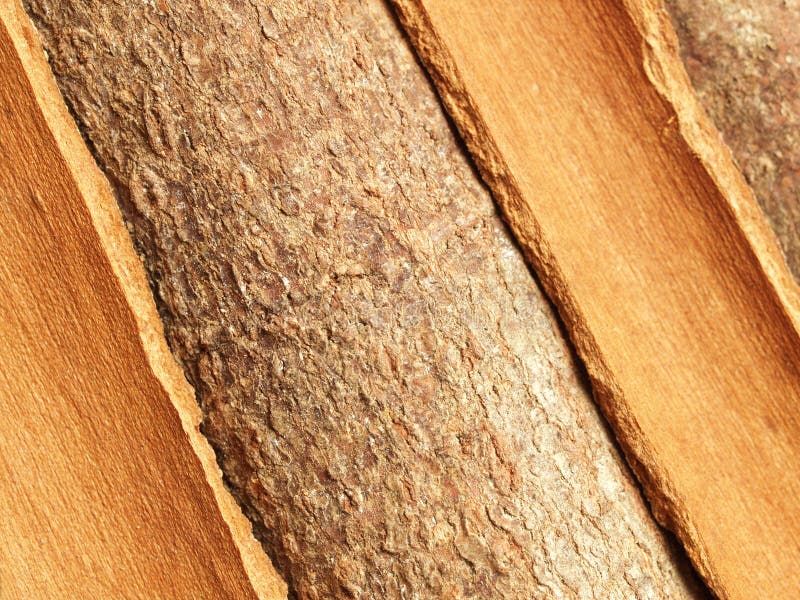 Corteza de cinamomo imagen de archivo. Imagen de palillo - 17342373