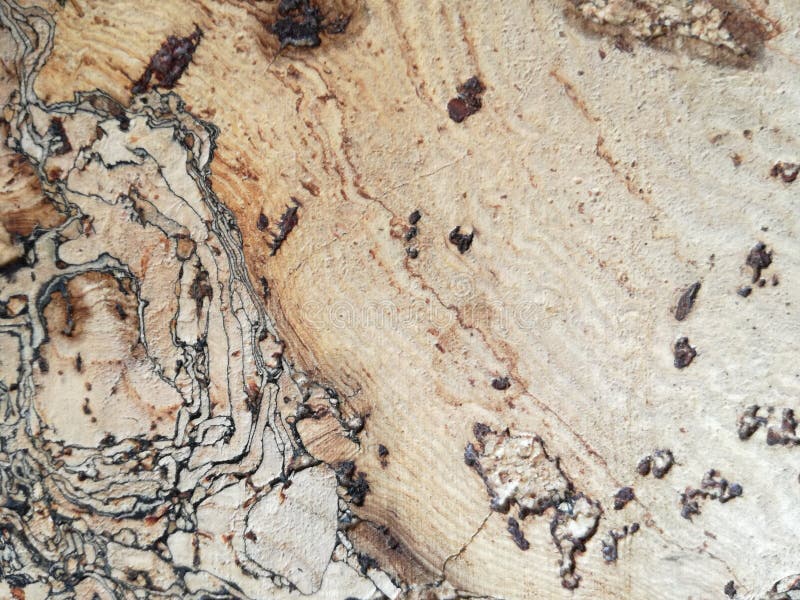 Cortical wallpaper stock image. Image of rock, geology - 94492263