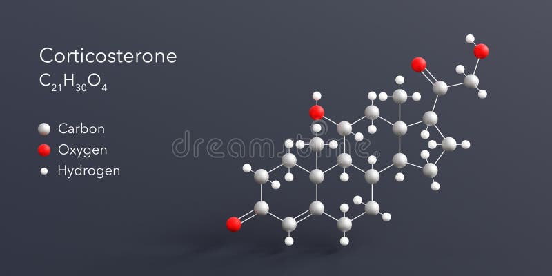 Corticosterone Molecule 3d Rendering Flat Molecular Structure With