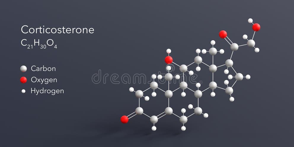 Corticosterone Molecule 3d Rendering, Flat Molecular Structure with ...