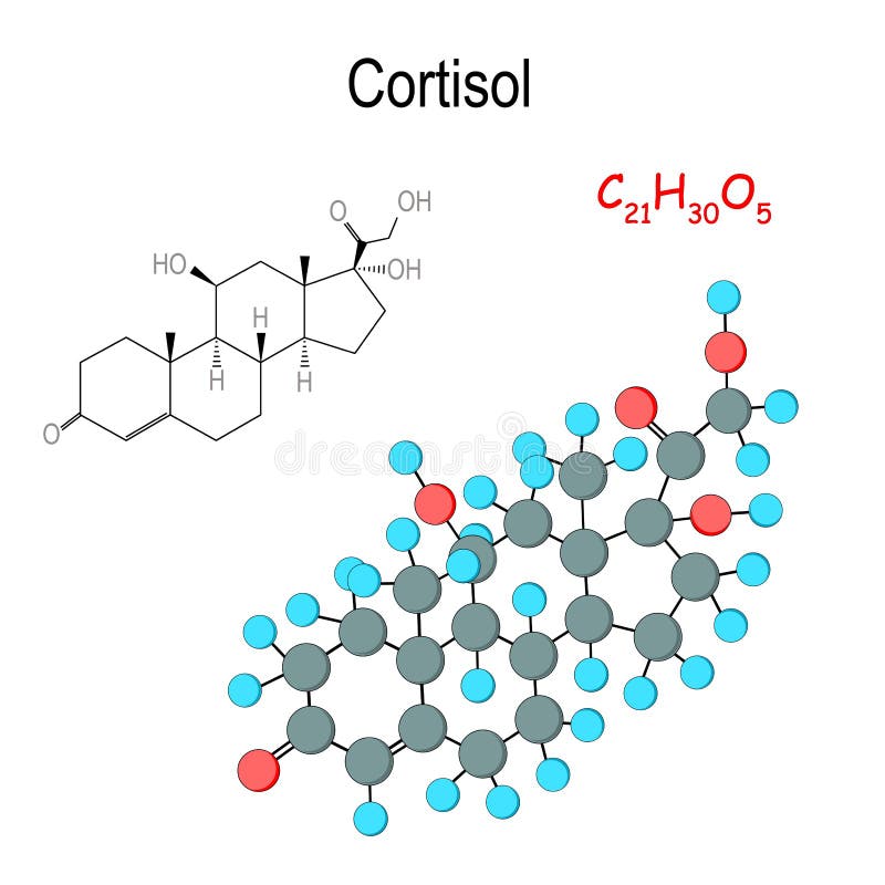 Structural Formula Of Cortisol Stock Illustration Illustration Of