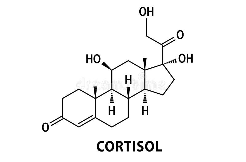 Cortisol Hormone Formula, Chemical Structure of Molecule Stock Vector ...
