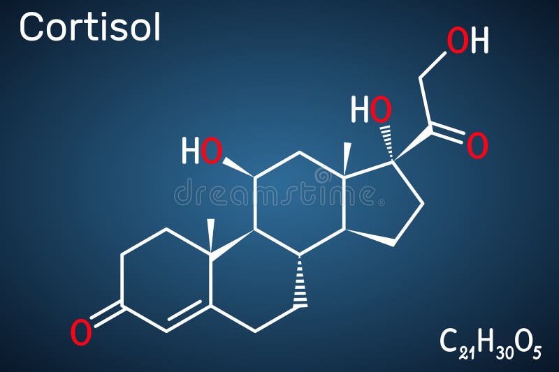 Cortisol Hydrocortisone Steroid Molecule Chemical Structure The Dark