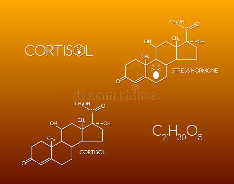 Cortisol Hormone Molecular Formula. Human Body Hormones Symbol Stock ...