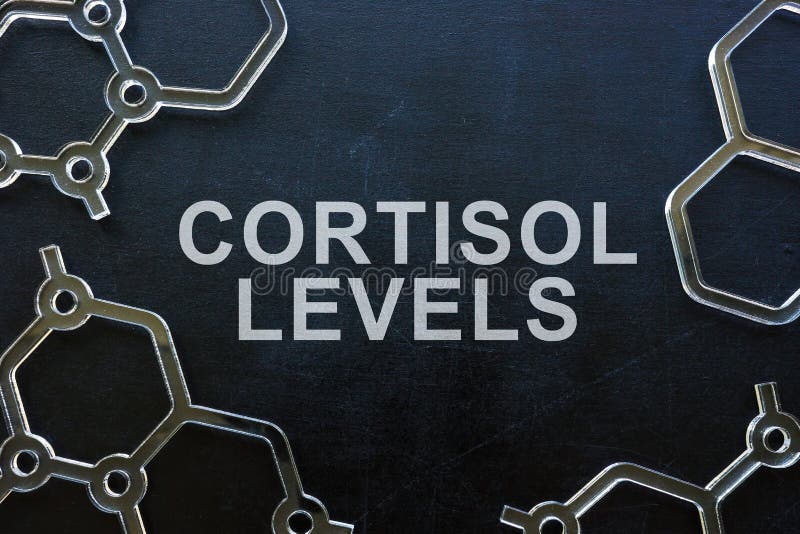Cortisol Levels Phrase on the Blackboard and Molecule Models. Stock ...