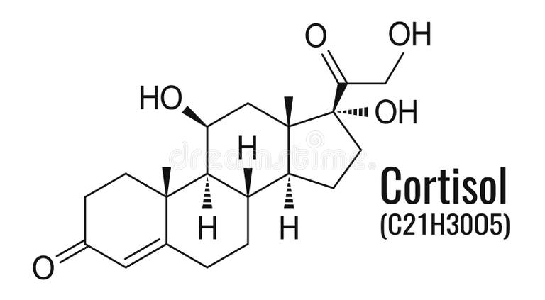 Cortisol Icon Logo Stock Illustrations – 41 Cortisol Icon Logo Stock ...