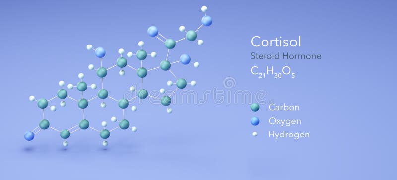 Cortisol, Steroid Hormone. Structural Chemical Formula and Atoms with ...