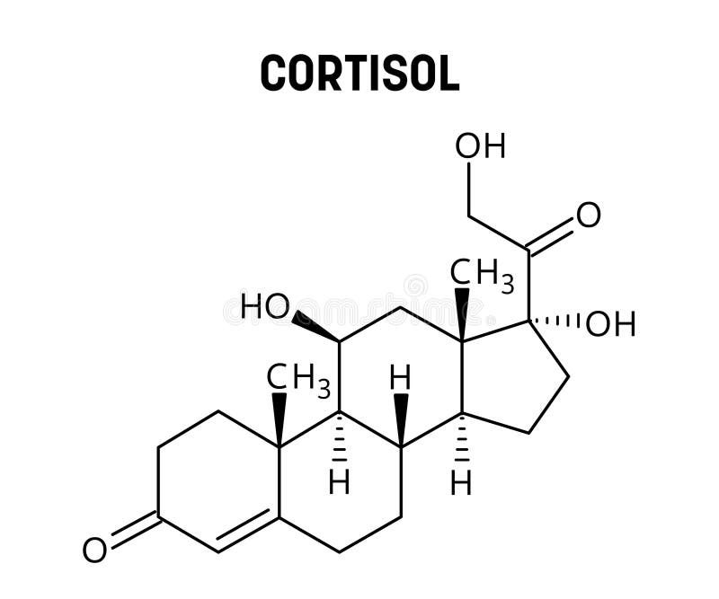 Cortisol Structural Formula of Molecular Structure Stock Illustration ...
