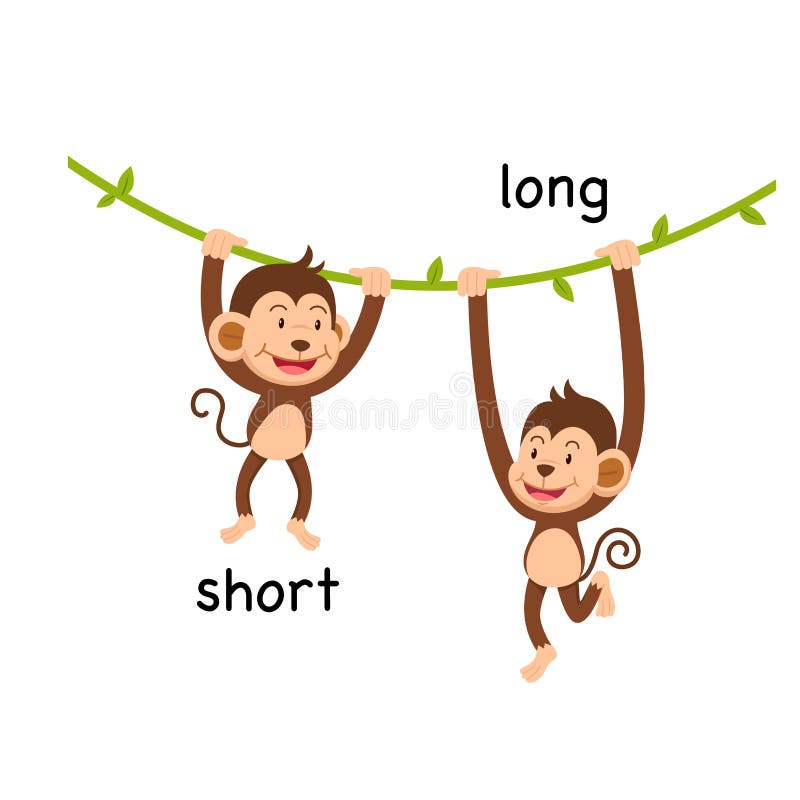 Ejemplo Largo Y Corto Opuesto Ilustración del Vector - Ilustración de ...