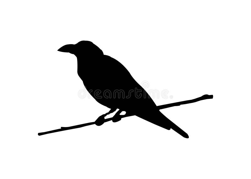 Corvus silhouette stock illustration. Illustration of symbol - 114930378