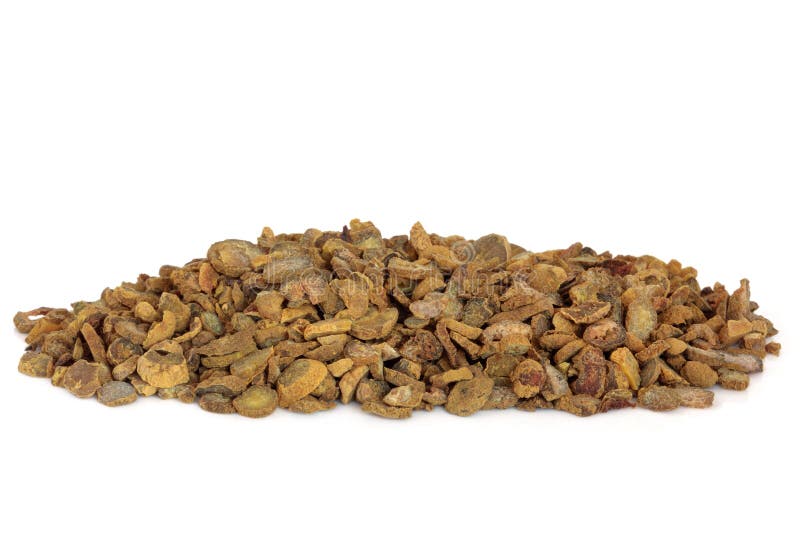 Corydalis Tuber stock photo. Image of rhizome, traditional - 12351582