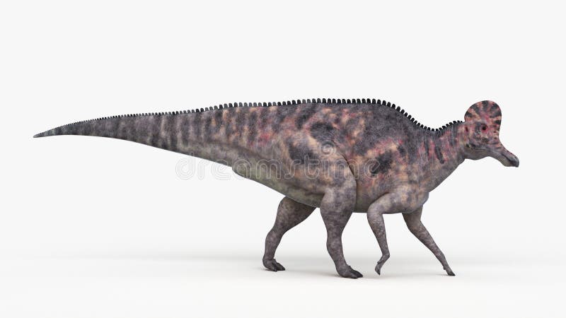 A corythosaurus stock illustration. Illustration of jurassic - 127857722