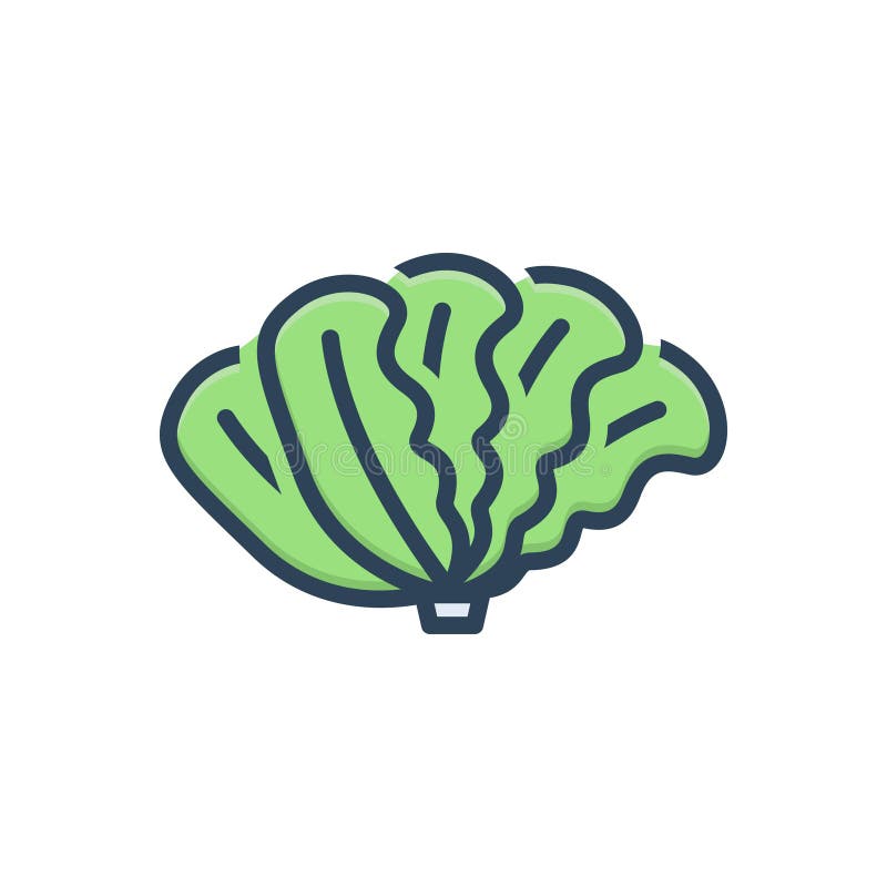 Pak Choi Stock Illustrations – 302 Pak Choi Stock Illustrations ...