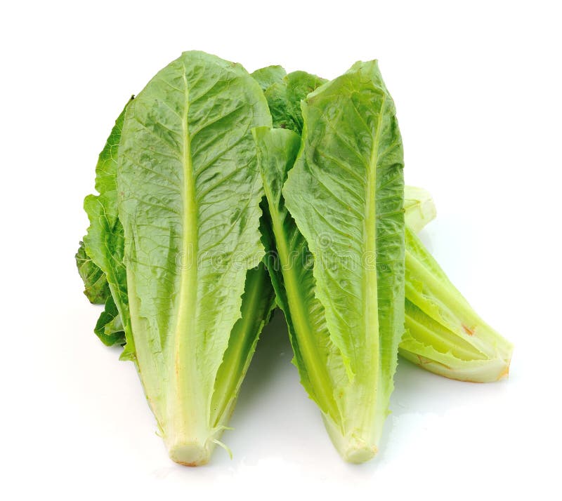 19,936 Cut Lettuce White Background Stock Photos - Free & Royalty-Free ...