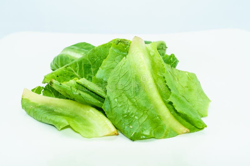 Cos vegetable cut stock photo. Image of vegetable, food - 43450256