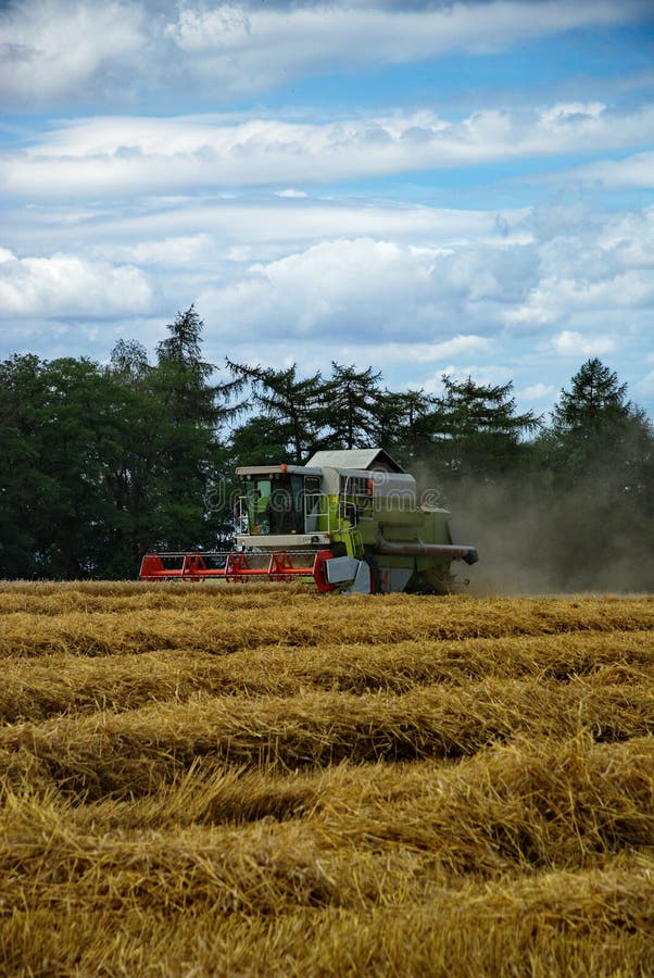 Cosecha nº 7 foto de archivo. Imagen de granja, cosecha - 6174930