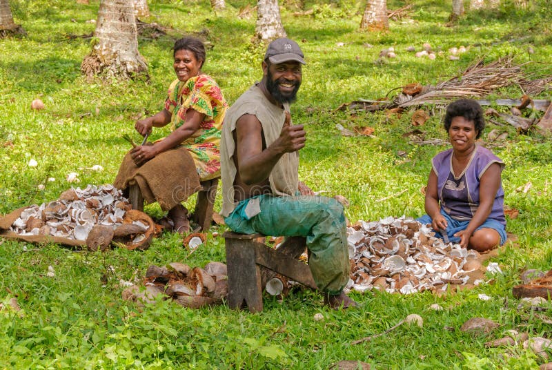 Copra Del Coco Examinada Por Un Hombre Antes De Machacarla Para Extraer ...