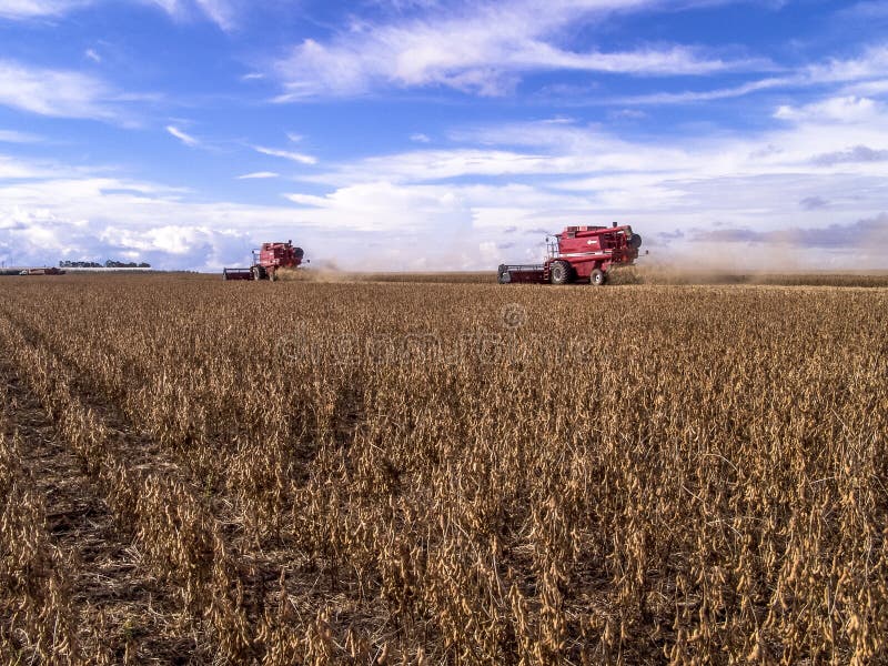 Cosecha de la soja foto de archivo editorial. Imagen de agroindustria ...