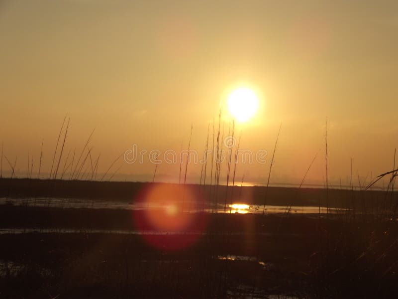 Cosey Sunset stock image. Image of grass, cosey, sunset - 139556185