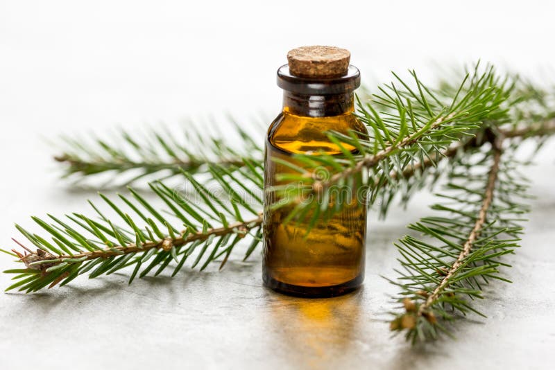 Cosmetic Spruce Oil in Bottles with Fur Branches on White Table ...