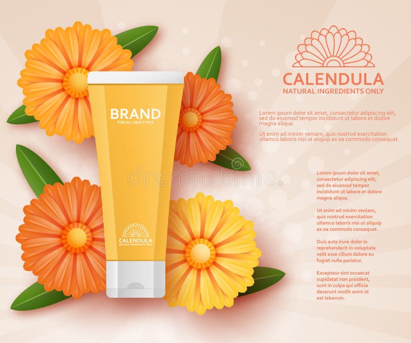 Cosmetic Template with Calendula. Vector Illustration Stock Vector ...