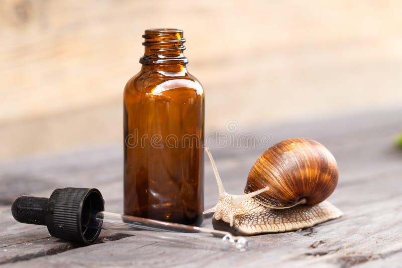 Cosmetics with Snail Mucus, Jar with Ash with Snail, Concept Natural ...