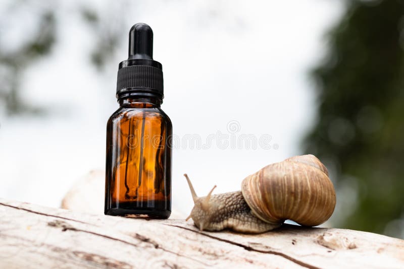 Cosmetics with Snail Mucus, Jar with Ash with Snail, Concept Natural ...