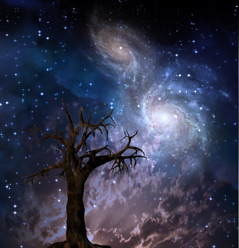 Cosmic Tree stock illustration. Illustration of landscape - 16429704