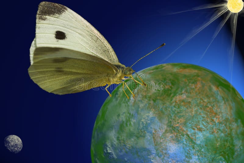 Cosmical butterfly stock image. Image of blue, green - 50833453