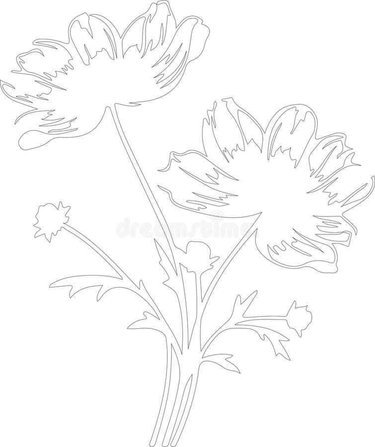 Cosmos Outline Silhouette Generative Ai Stock Vector - Illustration of ...