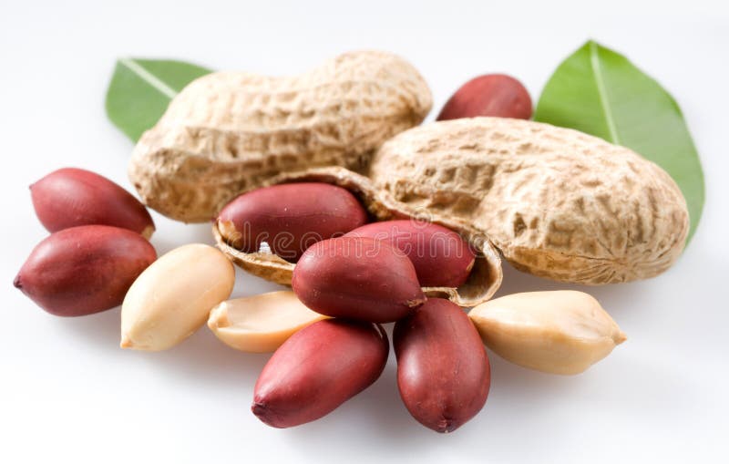Graines d'arachide photo stock. Image du arachide, légumineuse - 28078708