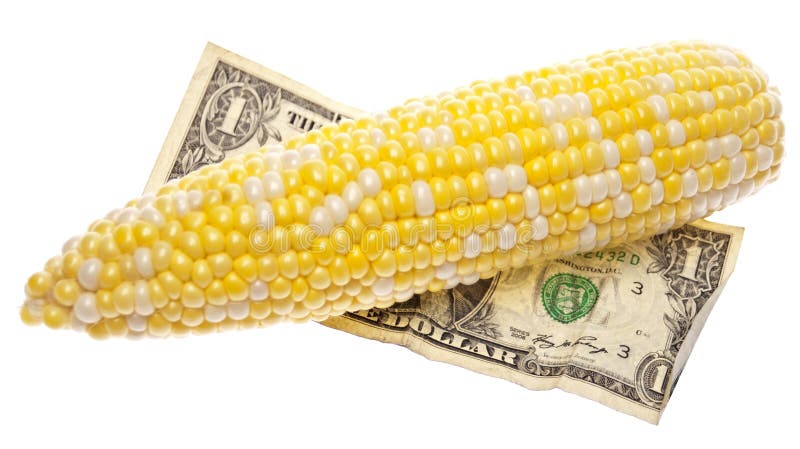 Cost of Corn stock photo. Image of studio, crop, finance - 15434258