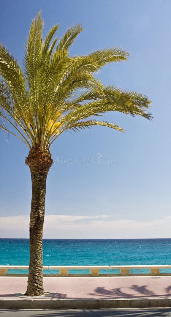 Costa Brava stock photo. Image of costa, city, coast - 30731214