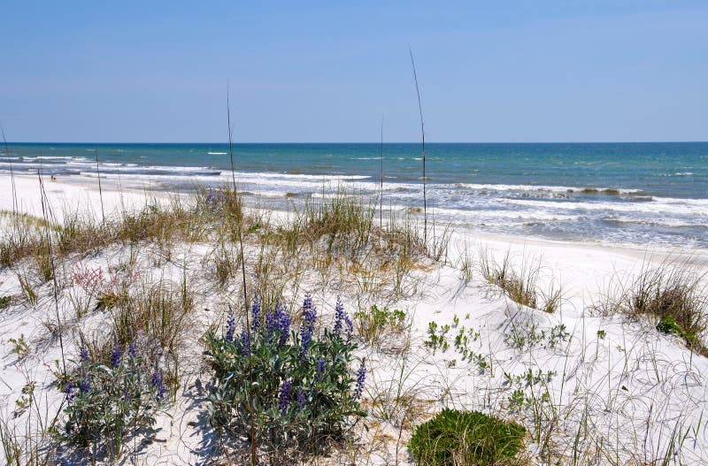 Costa Costa Hermosa De La Florida Foto de archivo - Imagen de hermoso ...